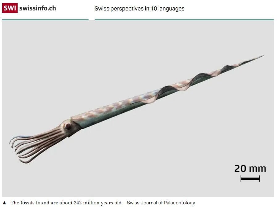 Unveiling the Mysteries of Chuchichäschtli: Swiss Words